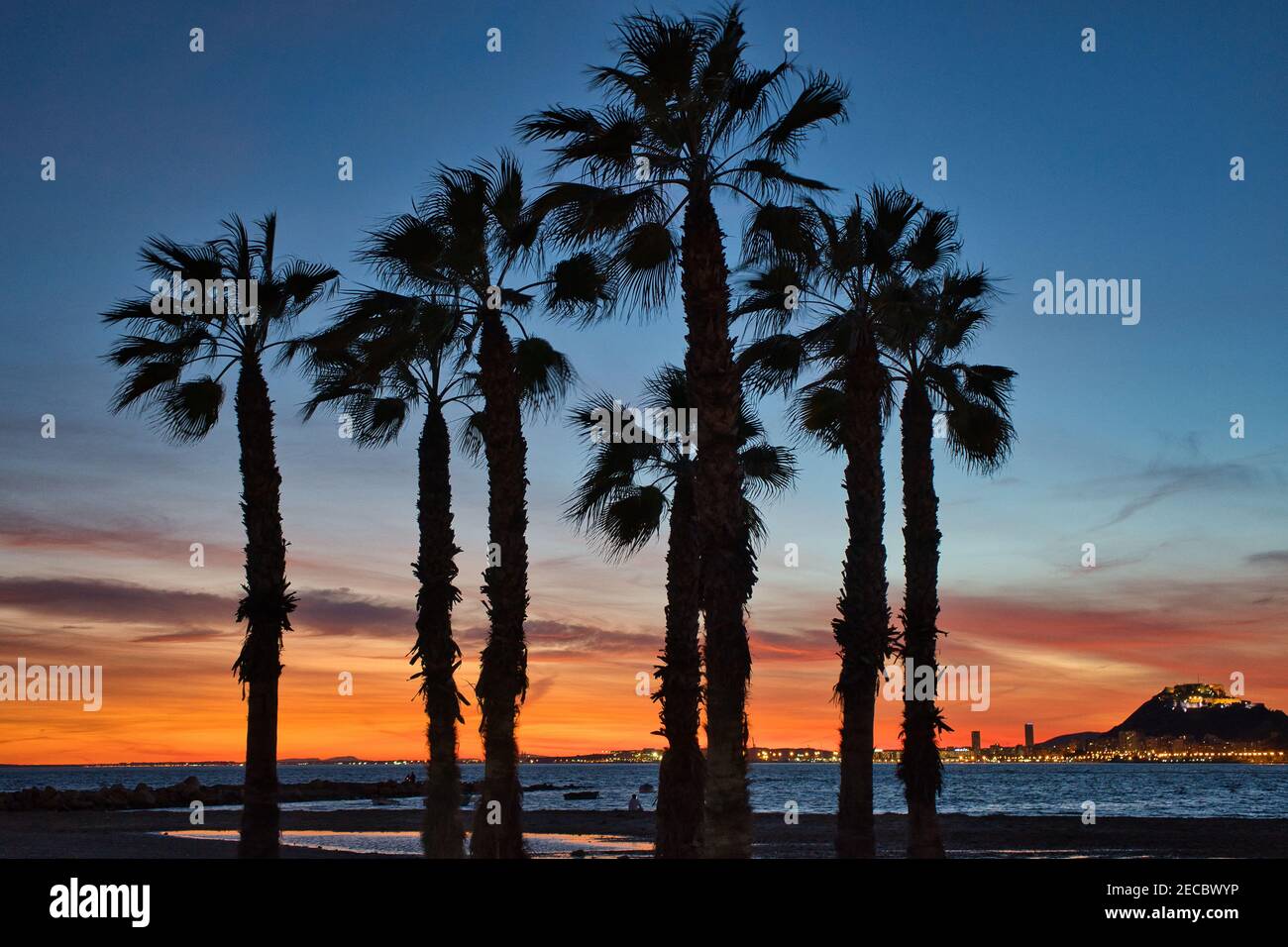 beautiful sunset on the beach with palm trees and very colorful on the ...