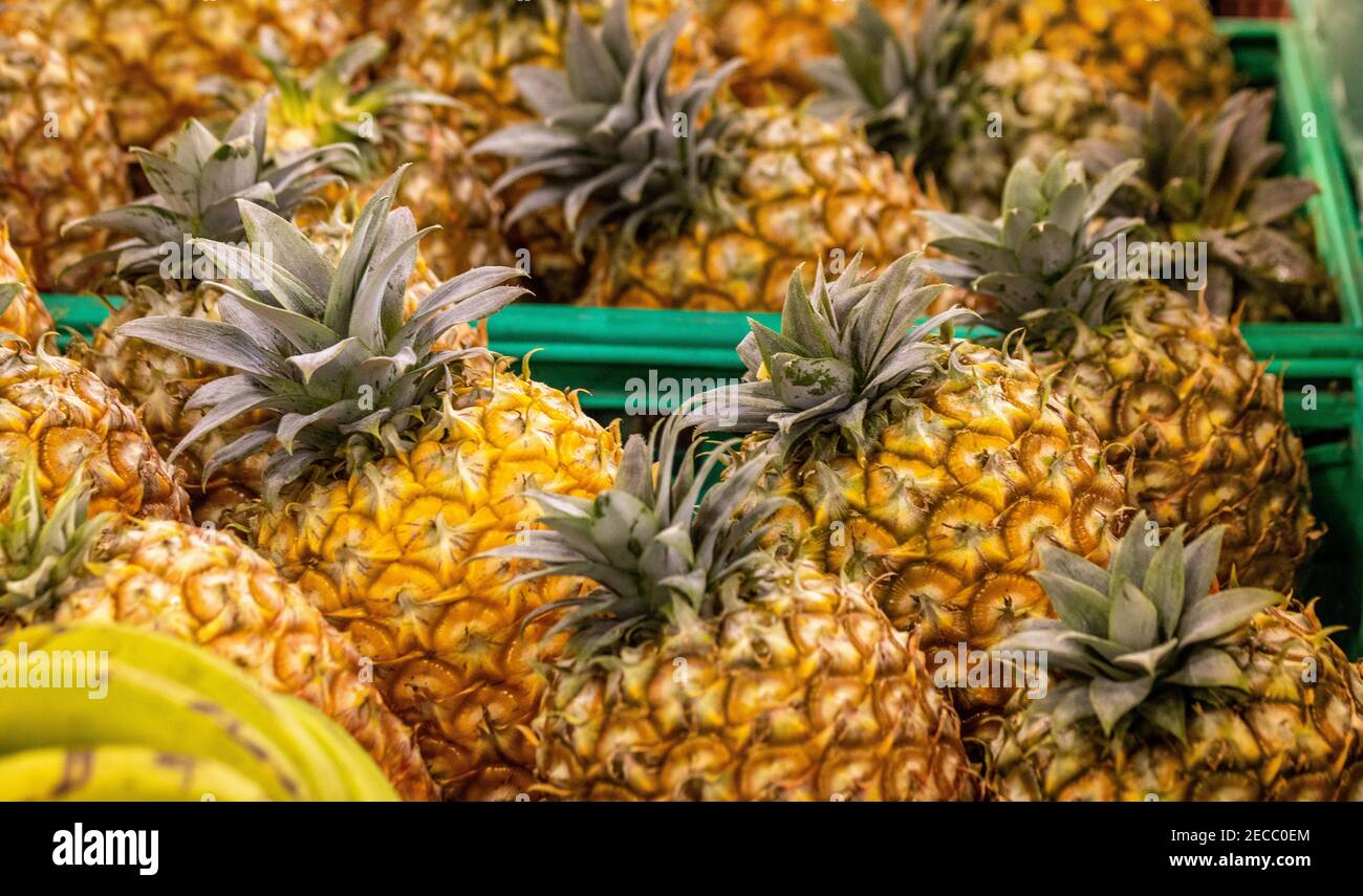 Pineapples on display at farmers market, fresh and healthy fruits ...
