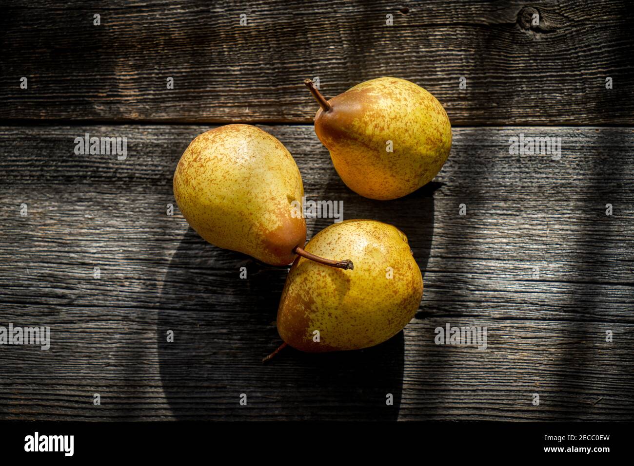 Three yellow pears on a barn wood plank table with shadows from the sun ...