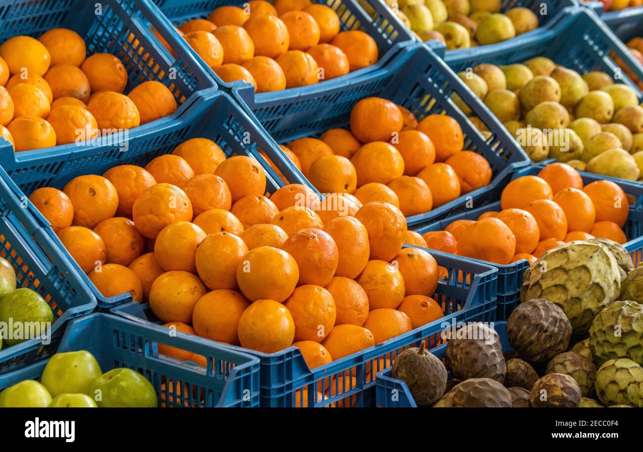 Oranges on display at farmers market, for sale, fresh and healthy food ...