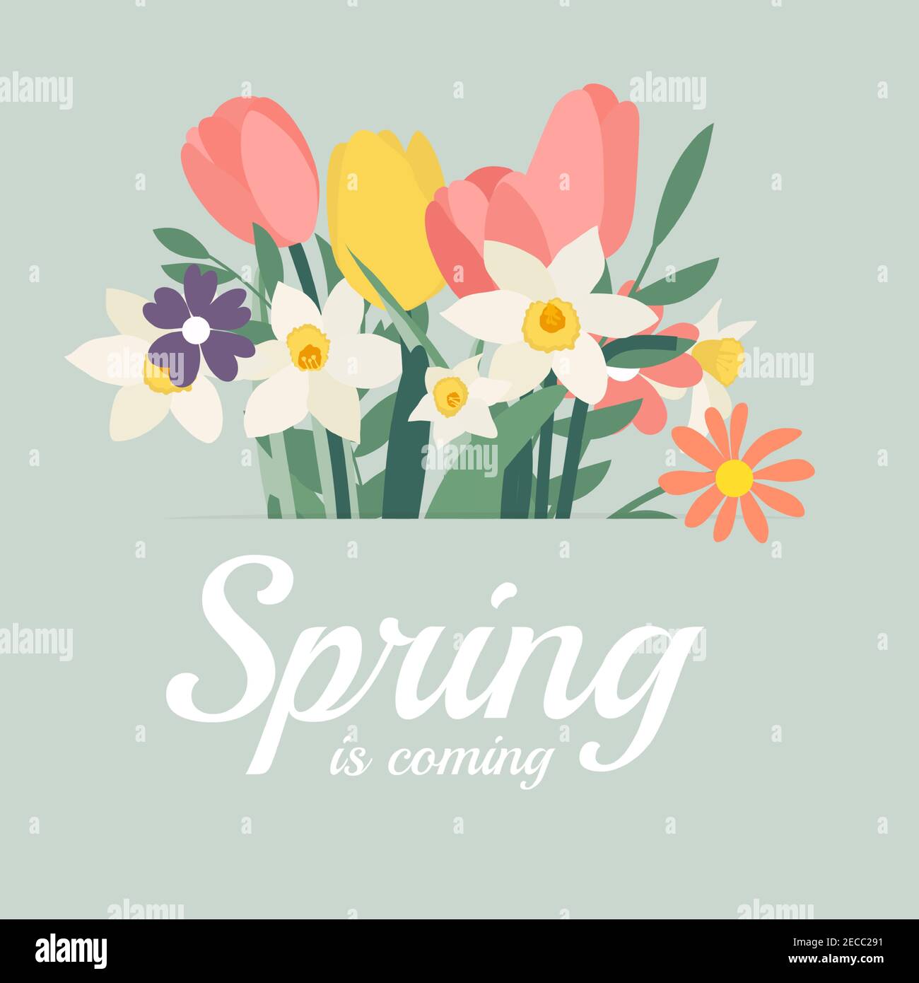 Spring is coming background with Bouquet of spring flowers tulips and ...