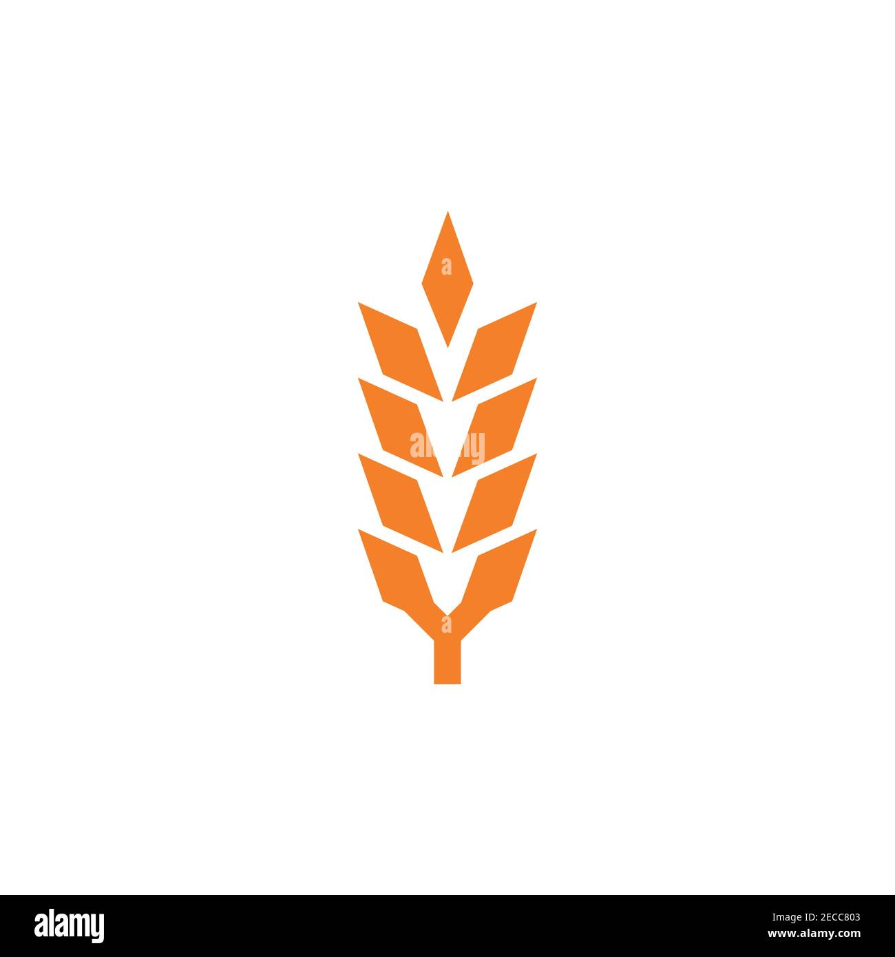 Wheat ear ears icons set. Vector illustration isolated on white ...