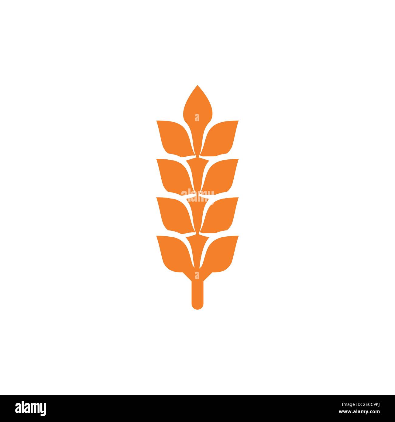 Wheat ear ears icons set. Vector illustration isolated on white ...