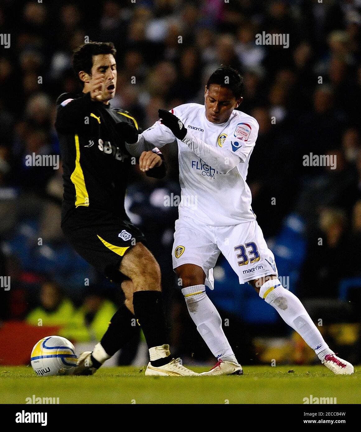 Jason whittingham hi-res stock photography and images - Alamy