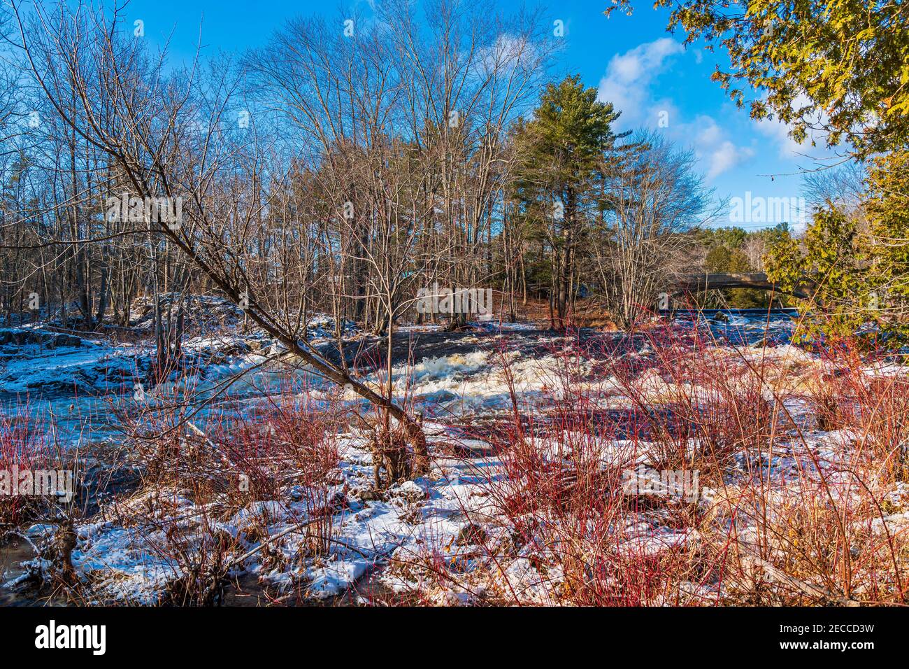 Price Conservation Area Tweed Ontario Hastings County Ontario Canada ...