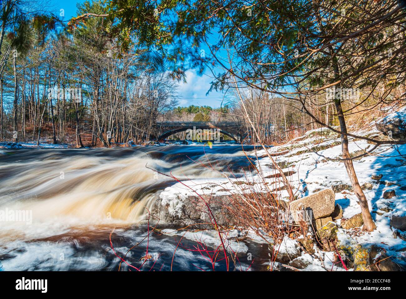 Price Conservation Area Tweed Ontario Hastings County Ontario Canada ...