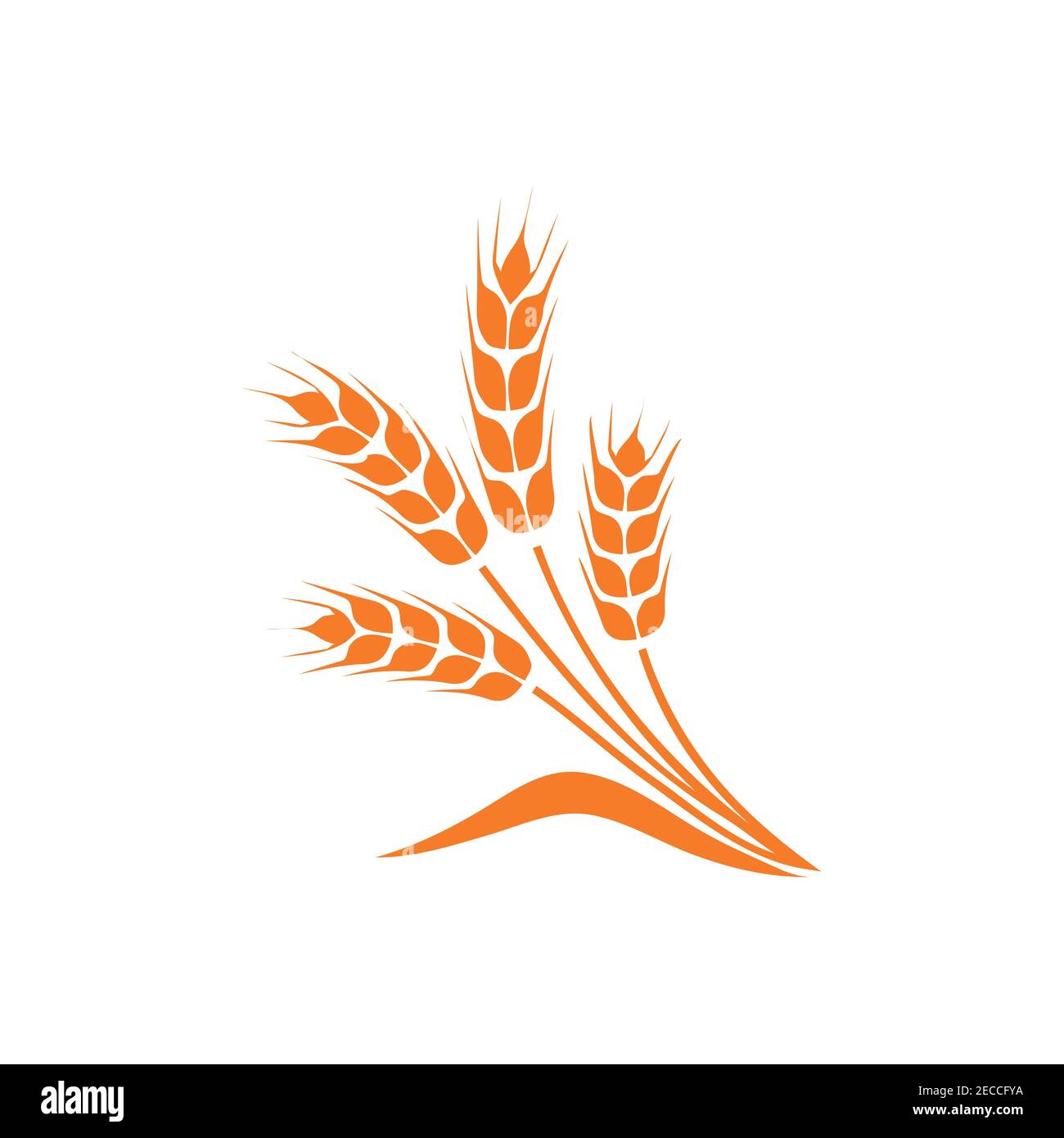 Wheat ear ears icons set. Vector illustration isolated on white ...