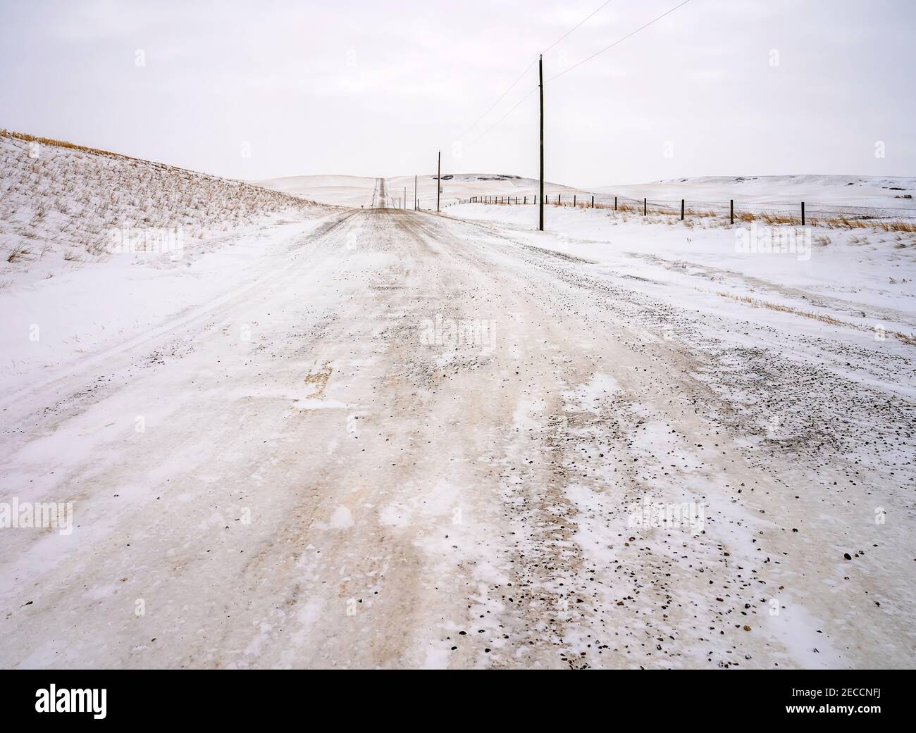 Country road on the prairie during winter ice fog Stock Photo - Alamy