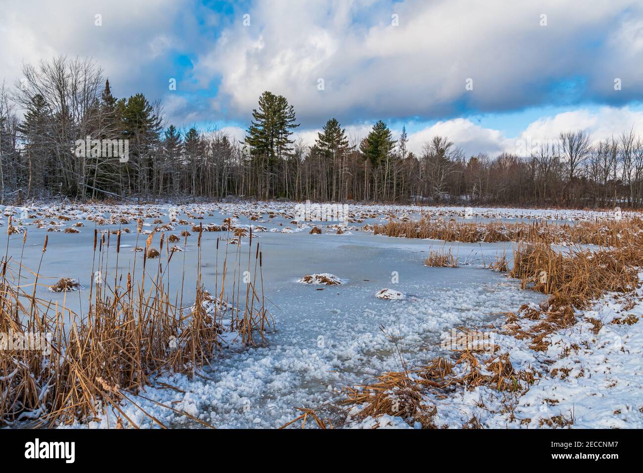 Flinton county hi-res stock photography and images - Alamy