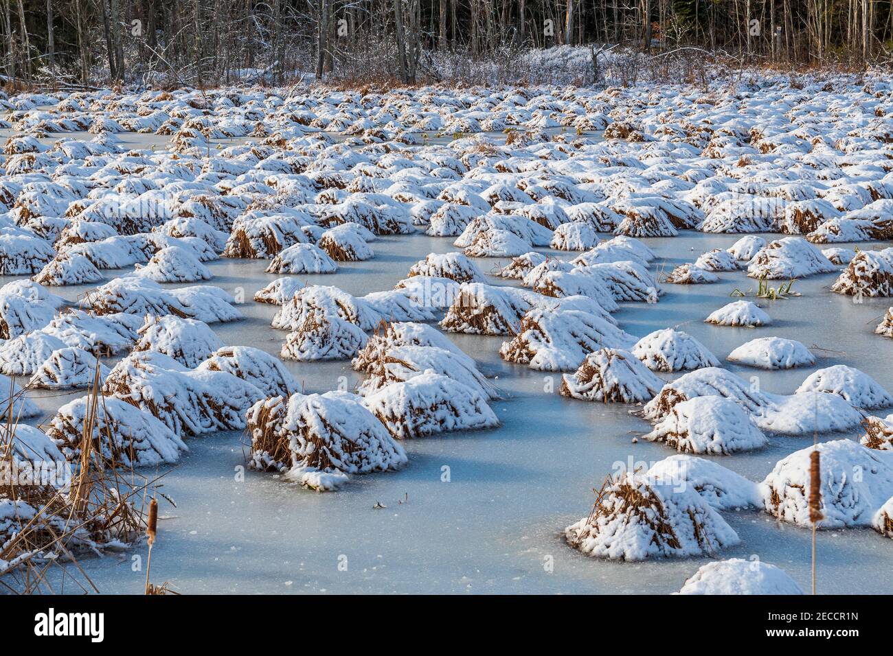 Flinton hi-res stock photography and images - Alamy