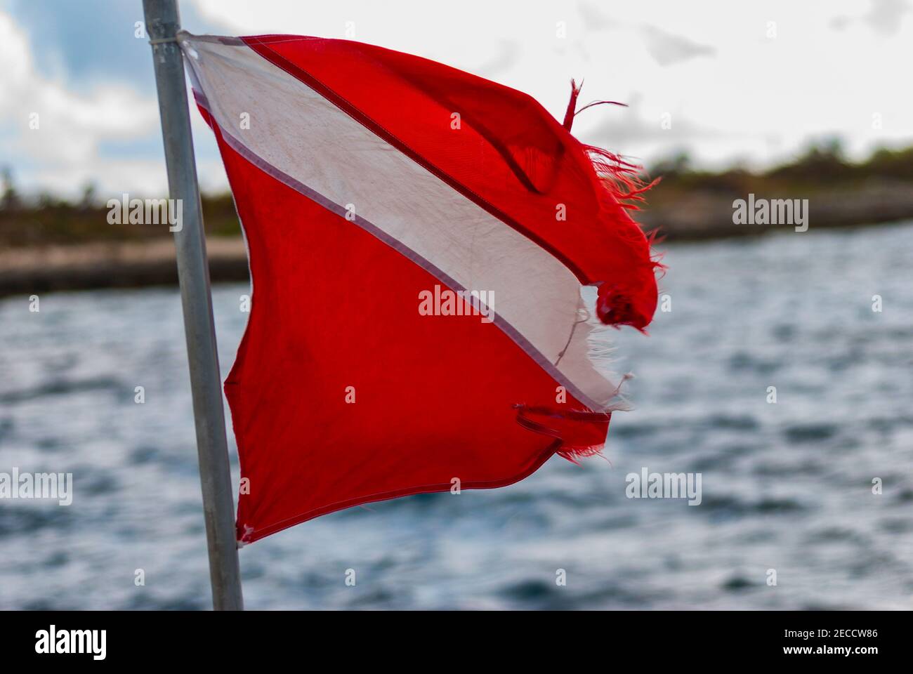 Dive icon hi-res stock photography and images - Alamy