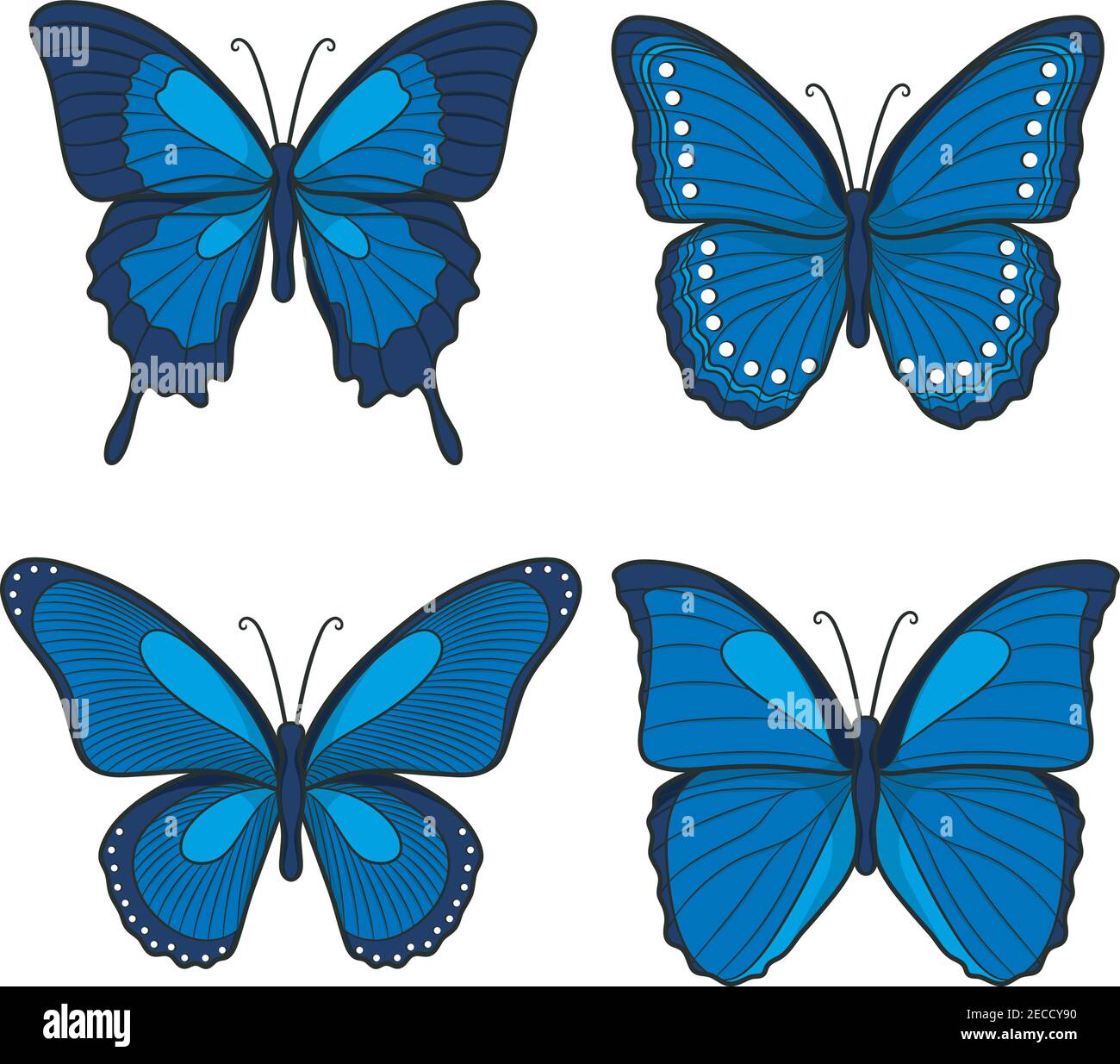 Lepidoptera butterflies Stock Vector Images - Alamy