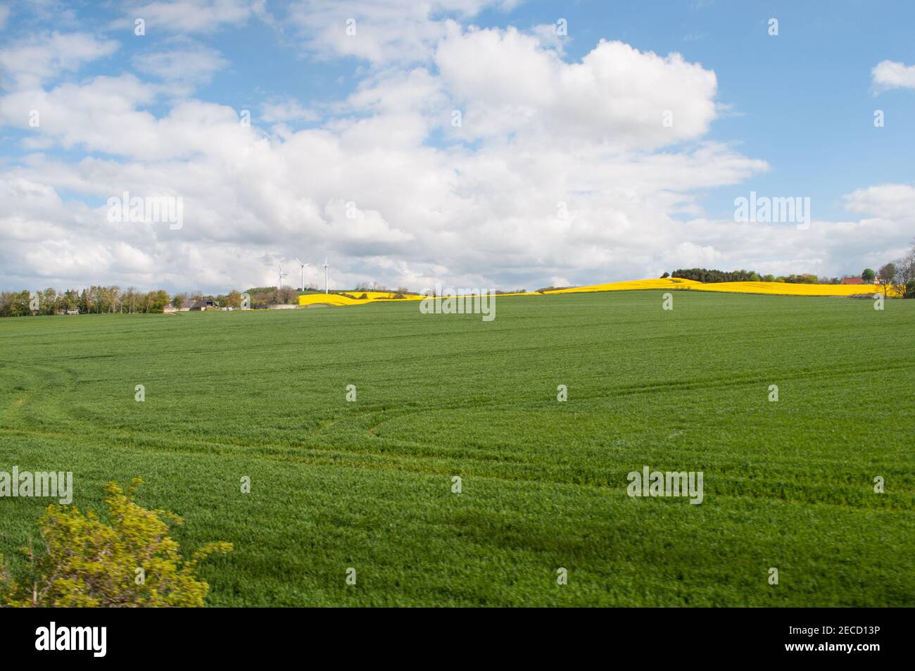 Danish field in the countryside Stock Photo - Alamy