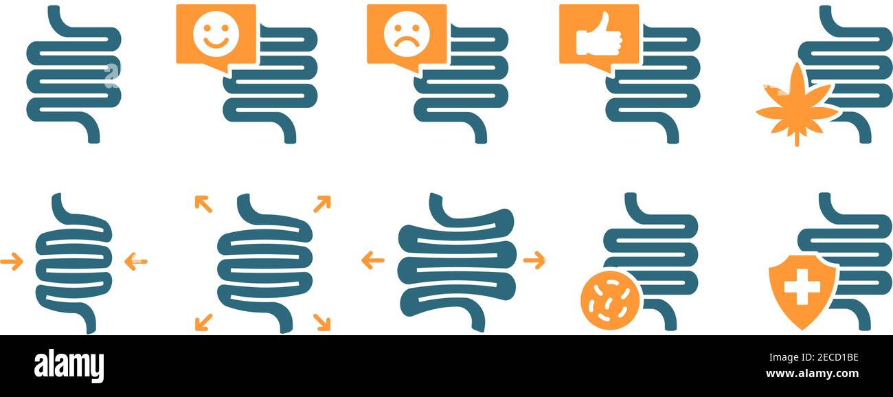 Set of human intestine colored icon. Healthy internal organ, digestive ...