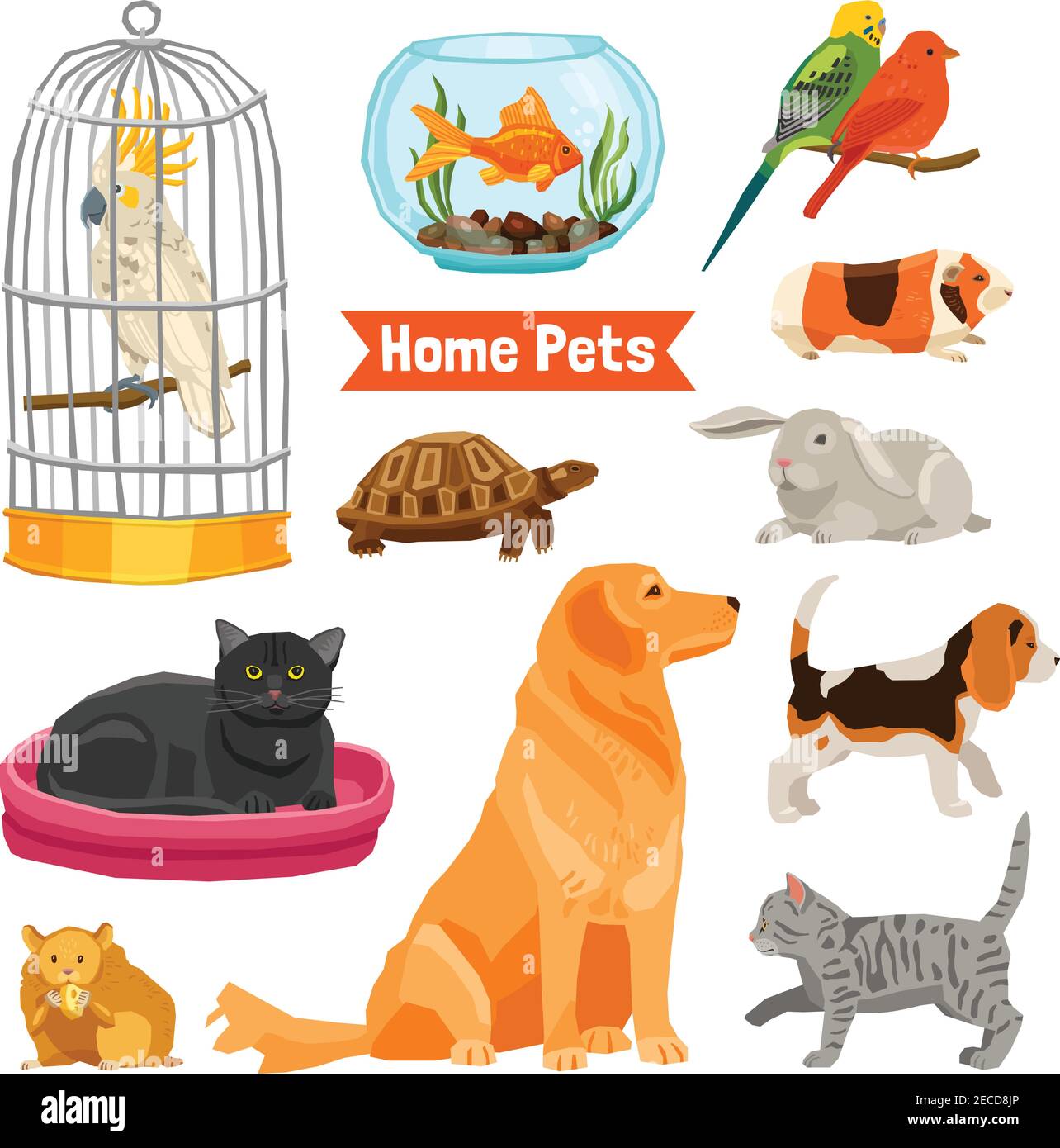 Big and small home pets set with dogs cats birds fish turtle hamster ...