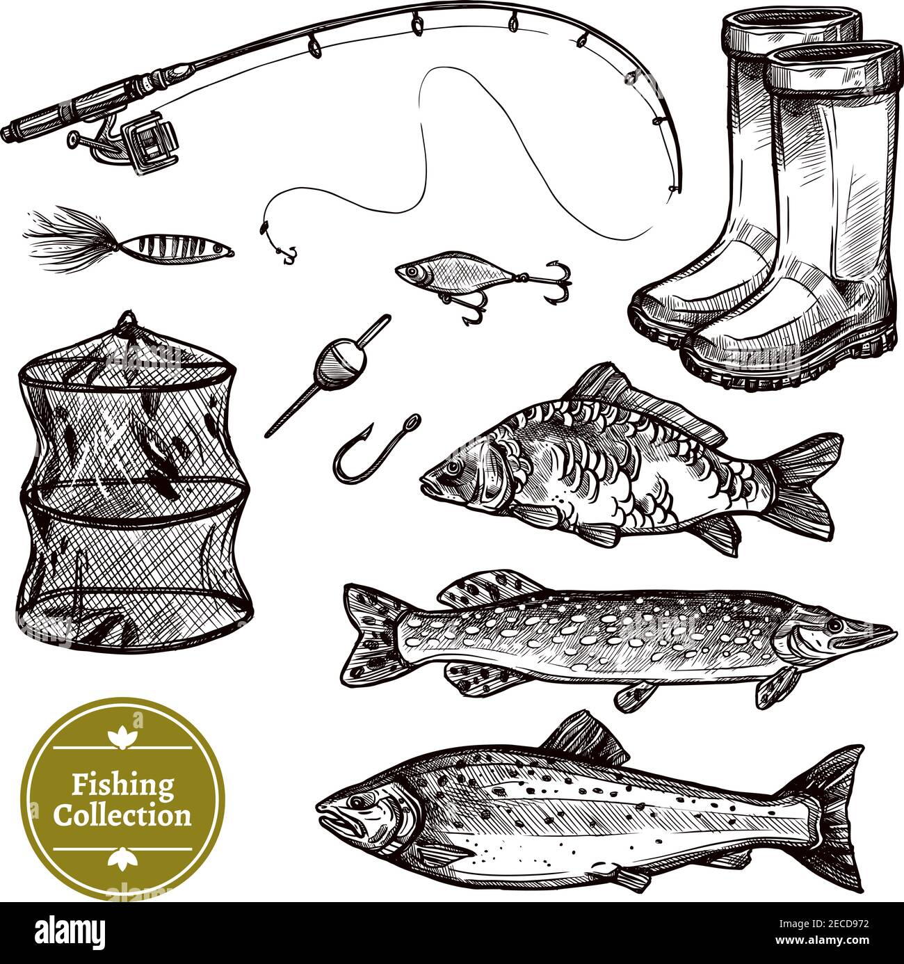 Fishing Sketch Set Isolated Vector Illustration Stock Vector Image ...