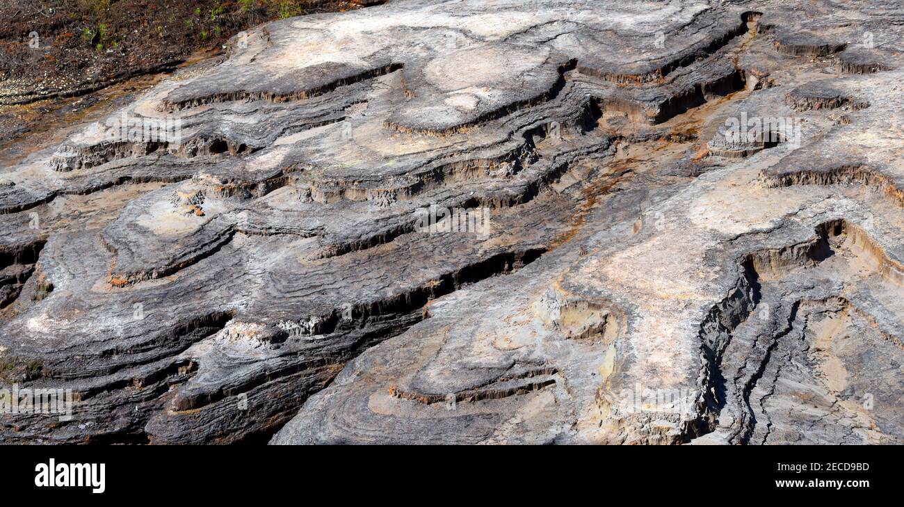 Erosion, from draining White Oak Lake, has formed ridges and layers in ...