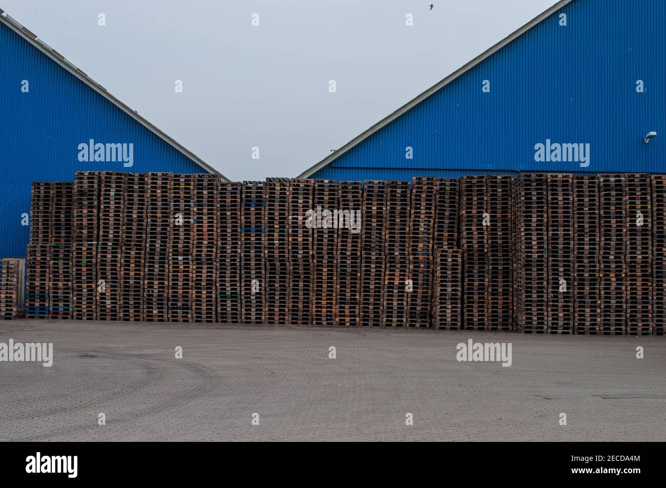 pallets in front of industry buildings Stock Photo - Alamy