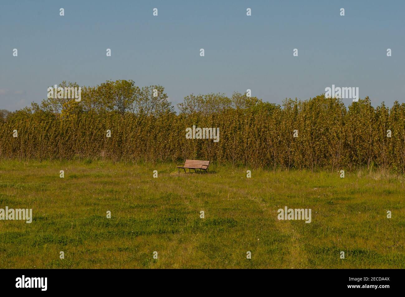 Green plot hi-res stock photography and images - Alamy