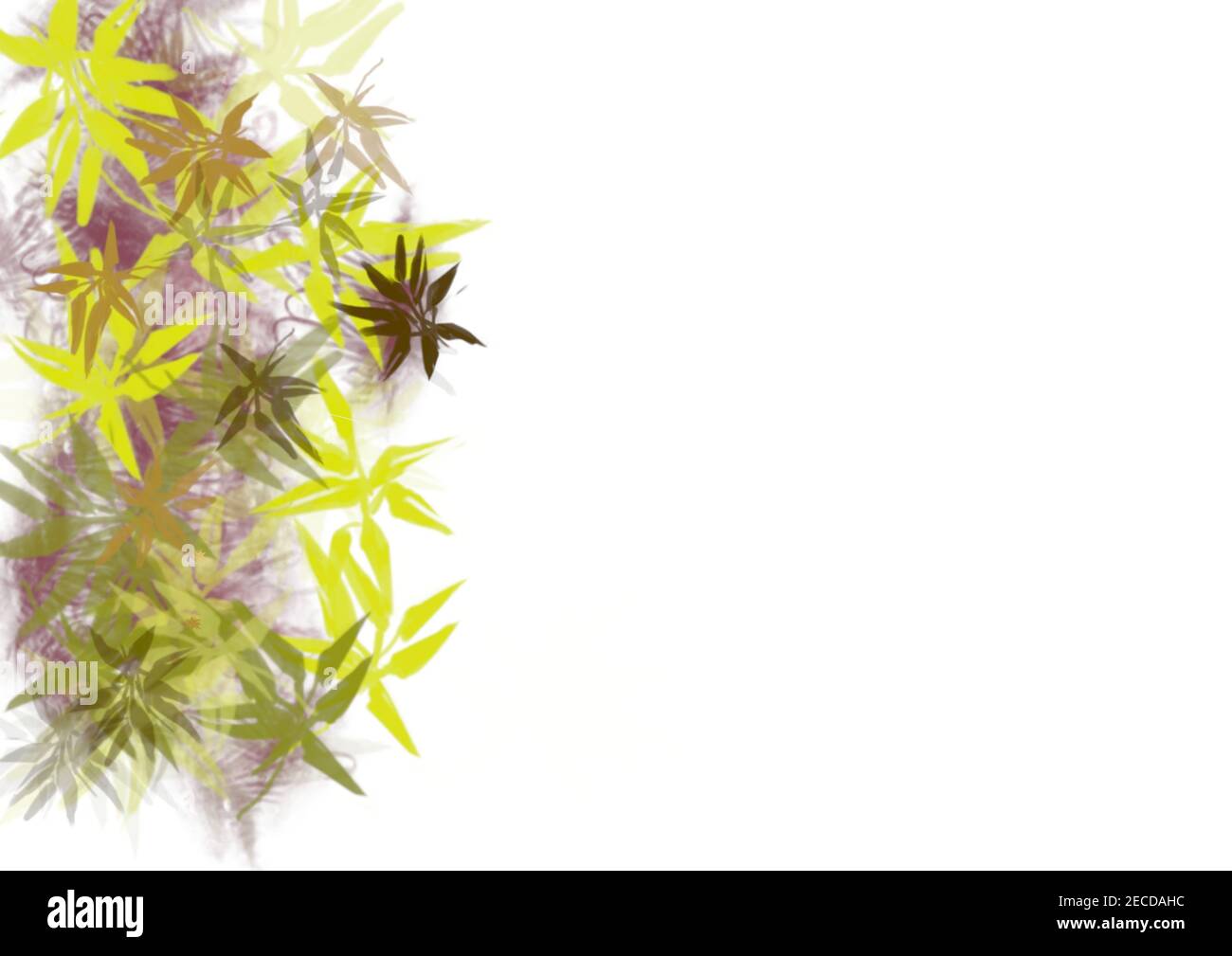 Left natural Cut Out Stock Images & Pictures - Alamy