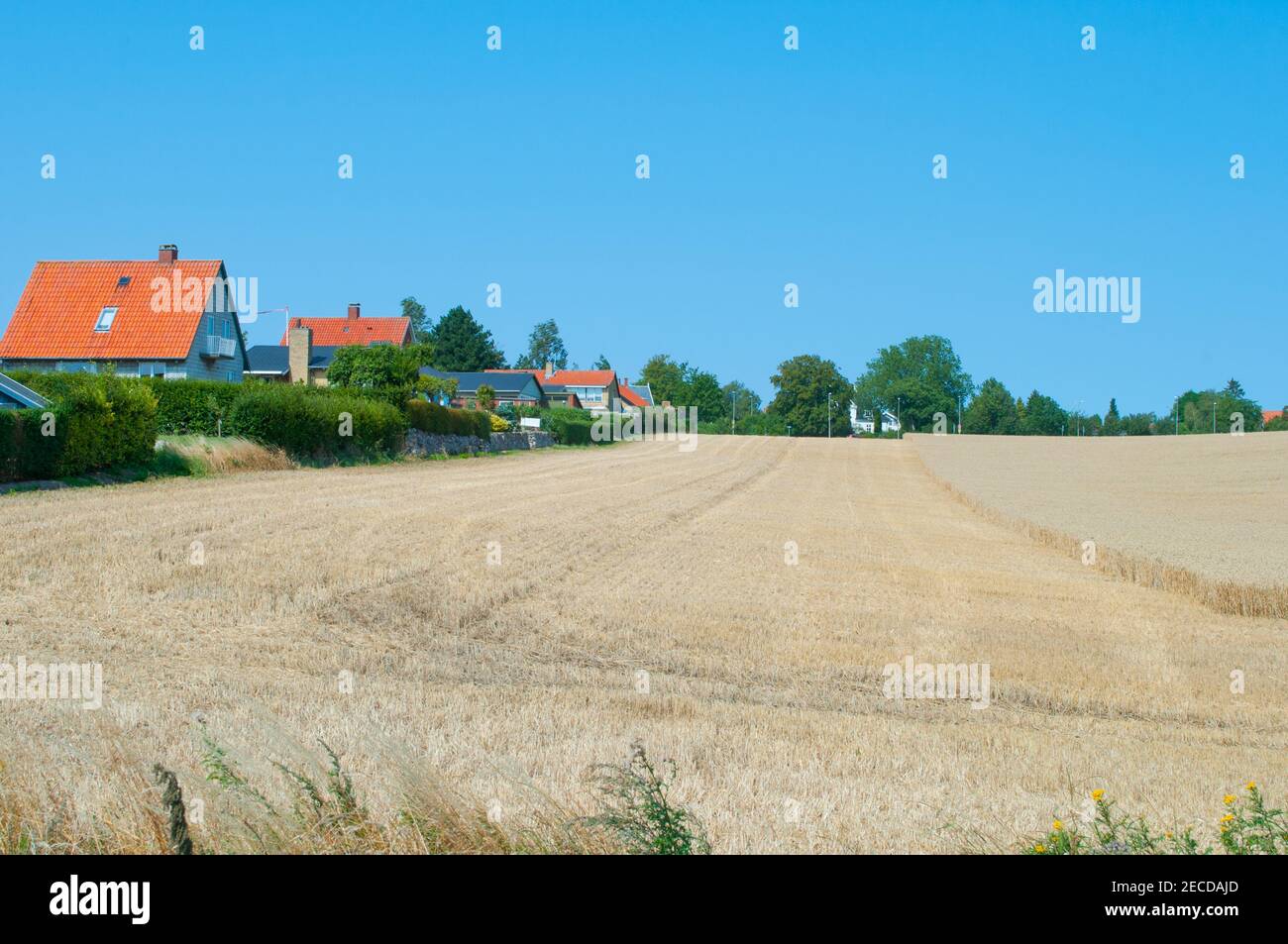 Field outside of Vordingborg in Denmark Stock Photo - Alamy