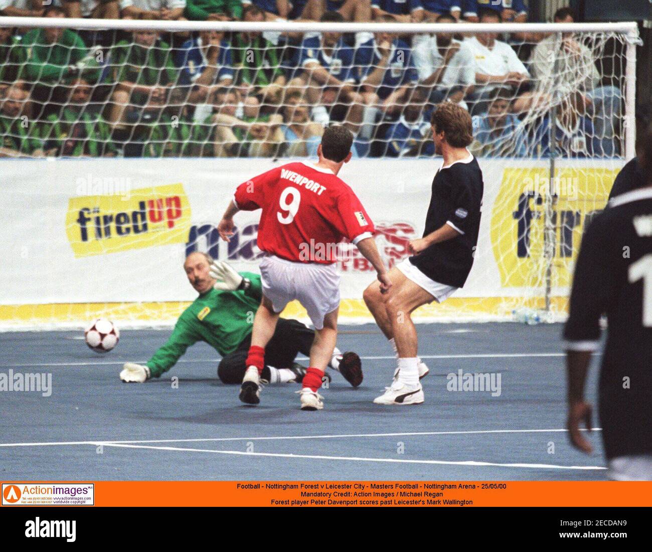 Peter davenport forest hi-res stock photography and images - Alamy