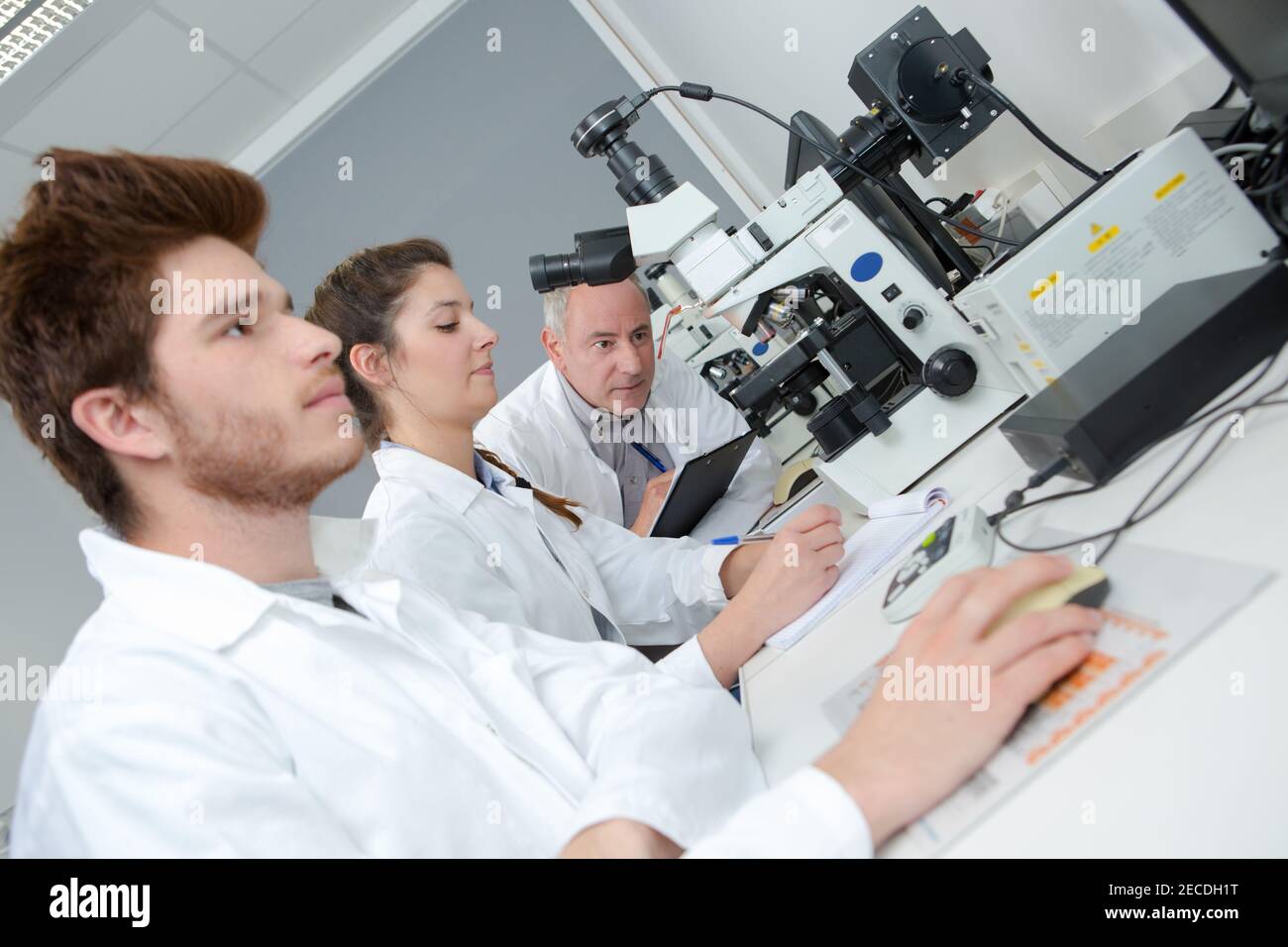 a laboratory interns doing research Stock Photo - Alamy