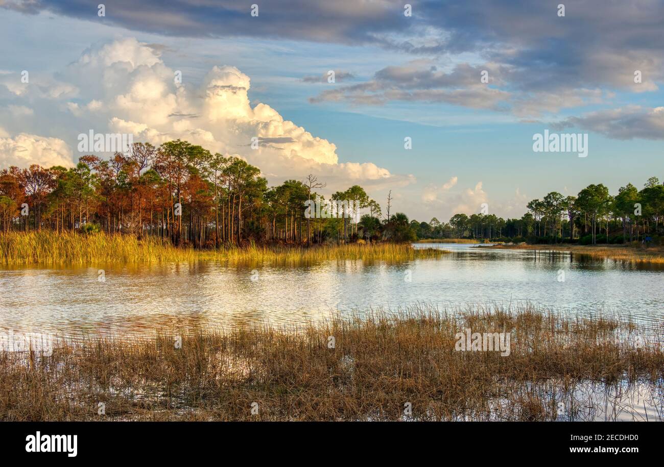 Webb Lake in Fred C. Babcock/Cecil M. Webb Wildlife Management Area in ...