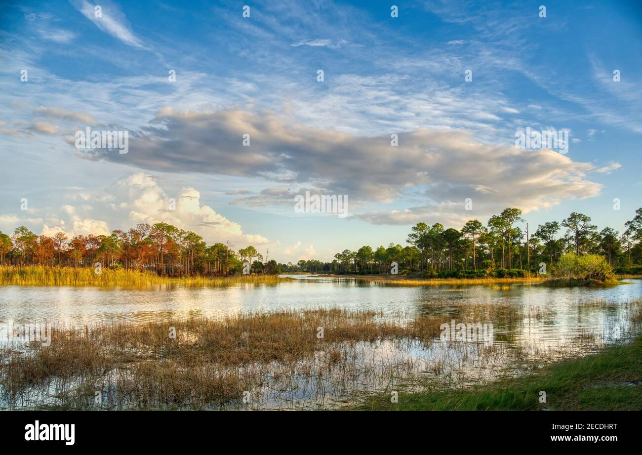 Babcock pond wildlife management area hi-res stock photography and ...
