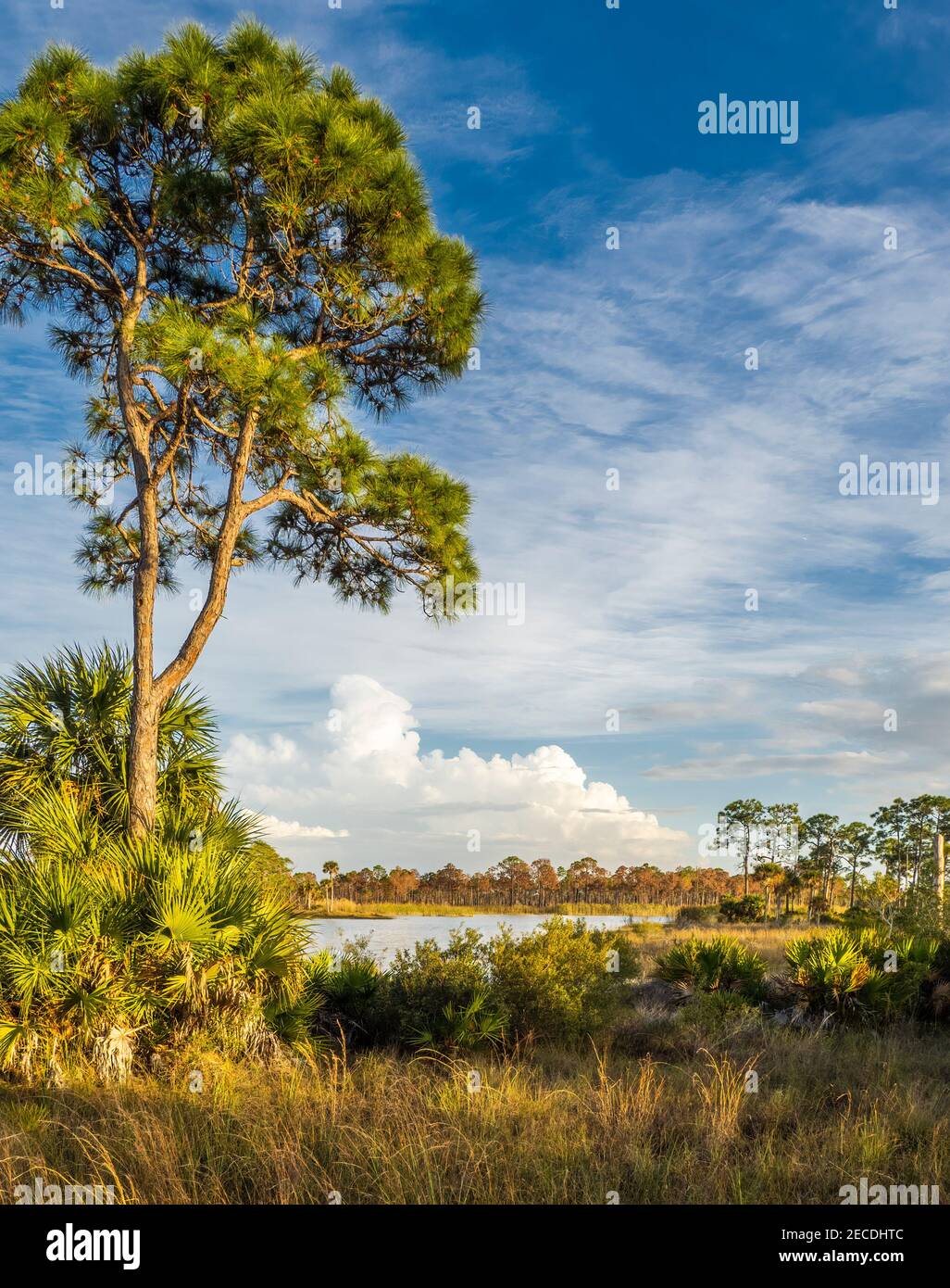 Webb Lake in Fred C. Babcock/Cecil M. Webb Wildlife Management Area in ...