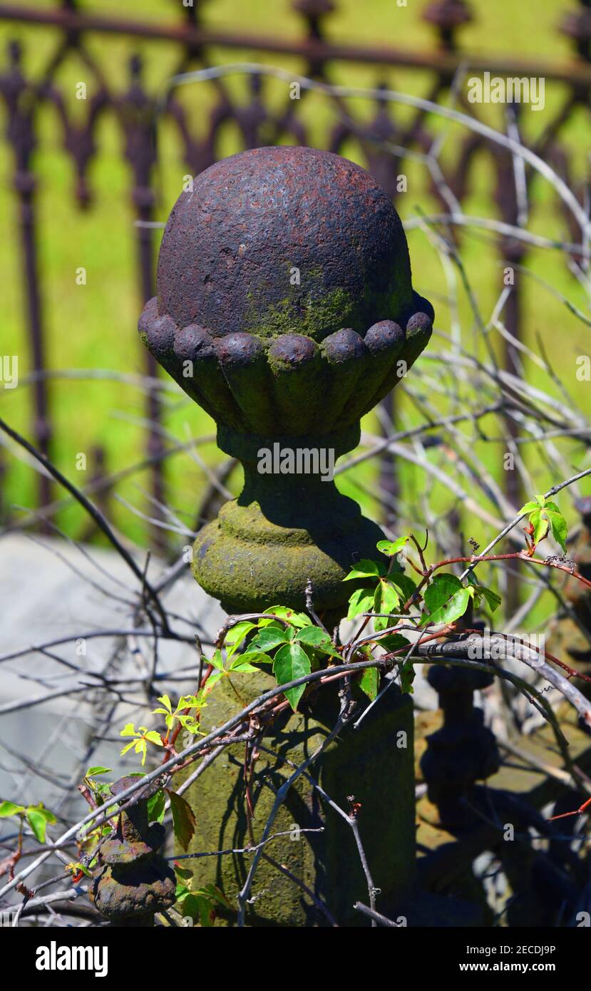 Corner post guarding a forgotten grave is overgrown with weeds. It is ...