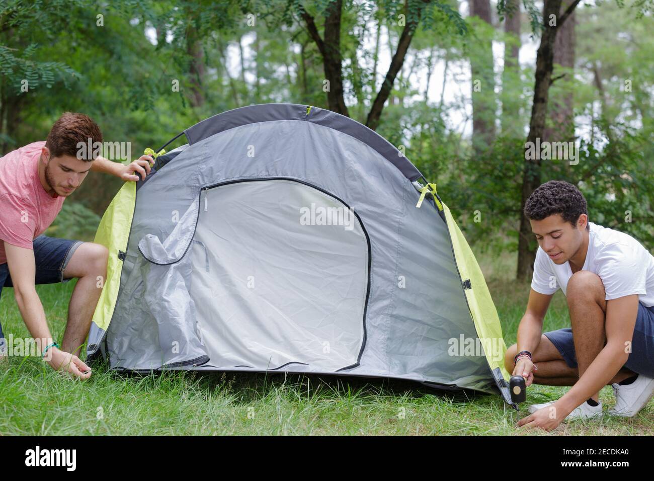 two young men erecting tent Stock Photo - Alamy