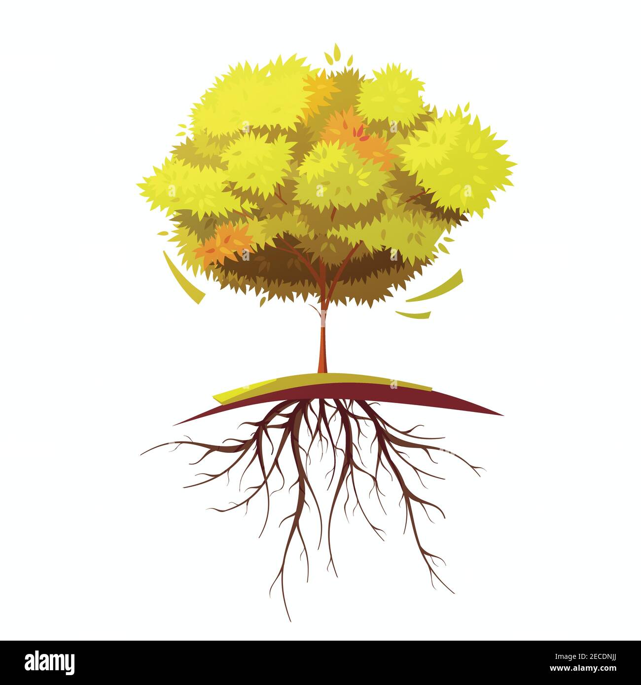 Single autumn tree with root on white background retro cartoon flat ...