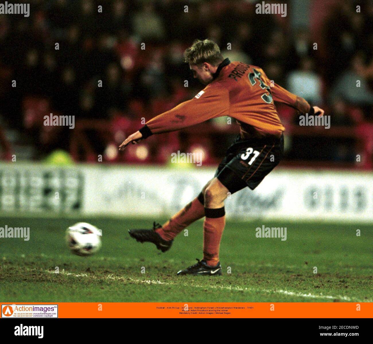 Adam proudlock forest hi-res stock photography and images - Alamy