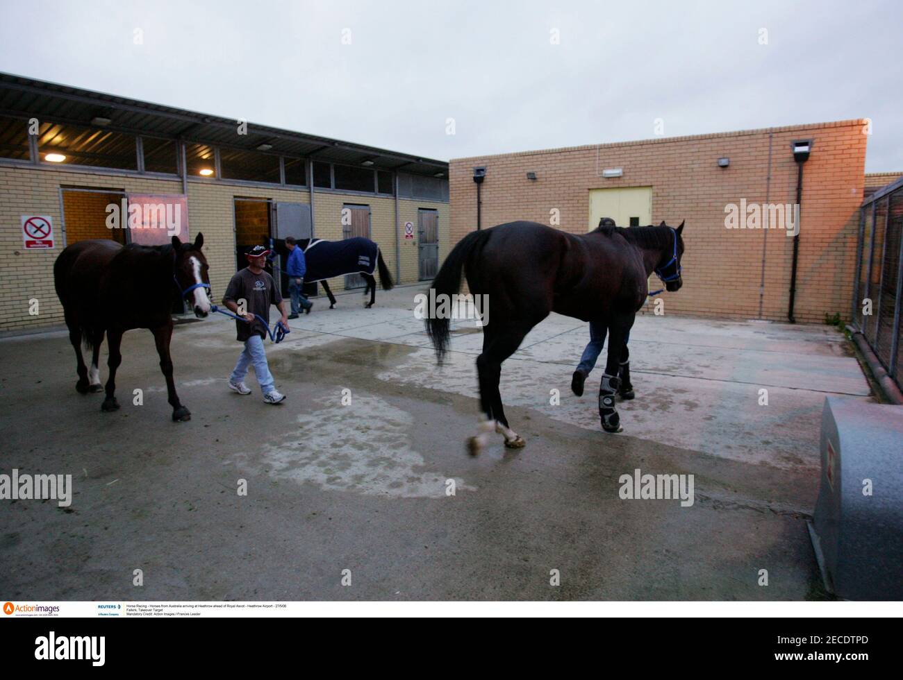 Horse Racing Horses High Resolution Stock Photography and Images - Alamy