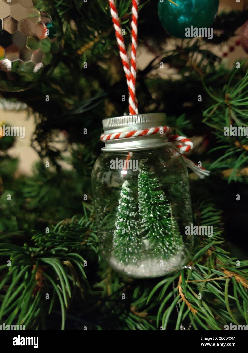 Christmas trees in a glass jar - a creative festive decoration Stock ...