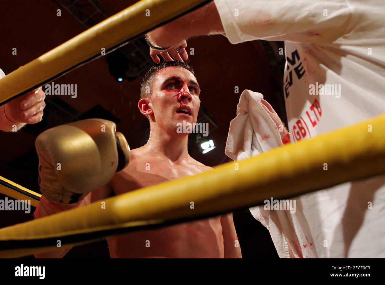 Flyweights High Resolution Stock Photography and Images - Alamy