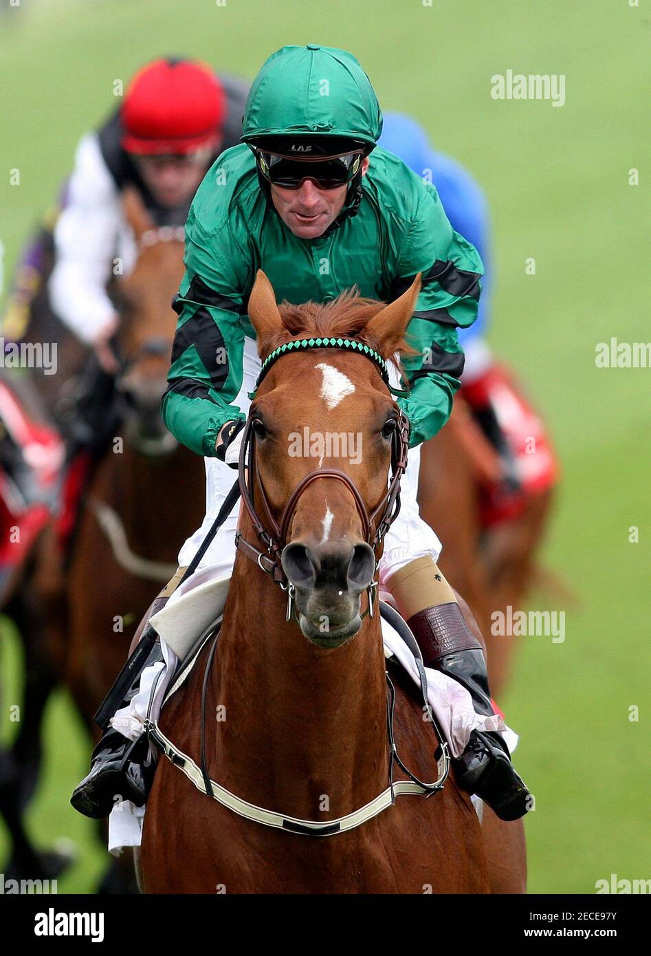 New approach horse hi-res stock photography and images - Alamy