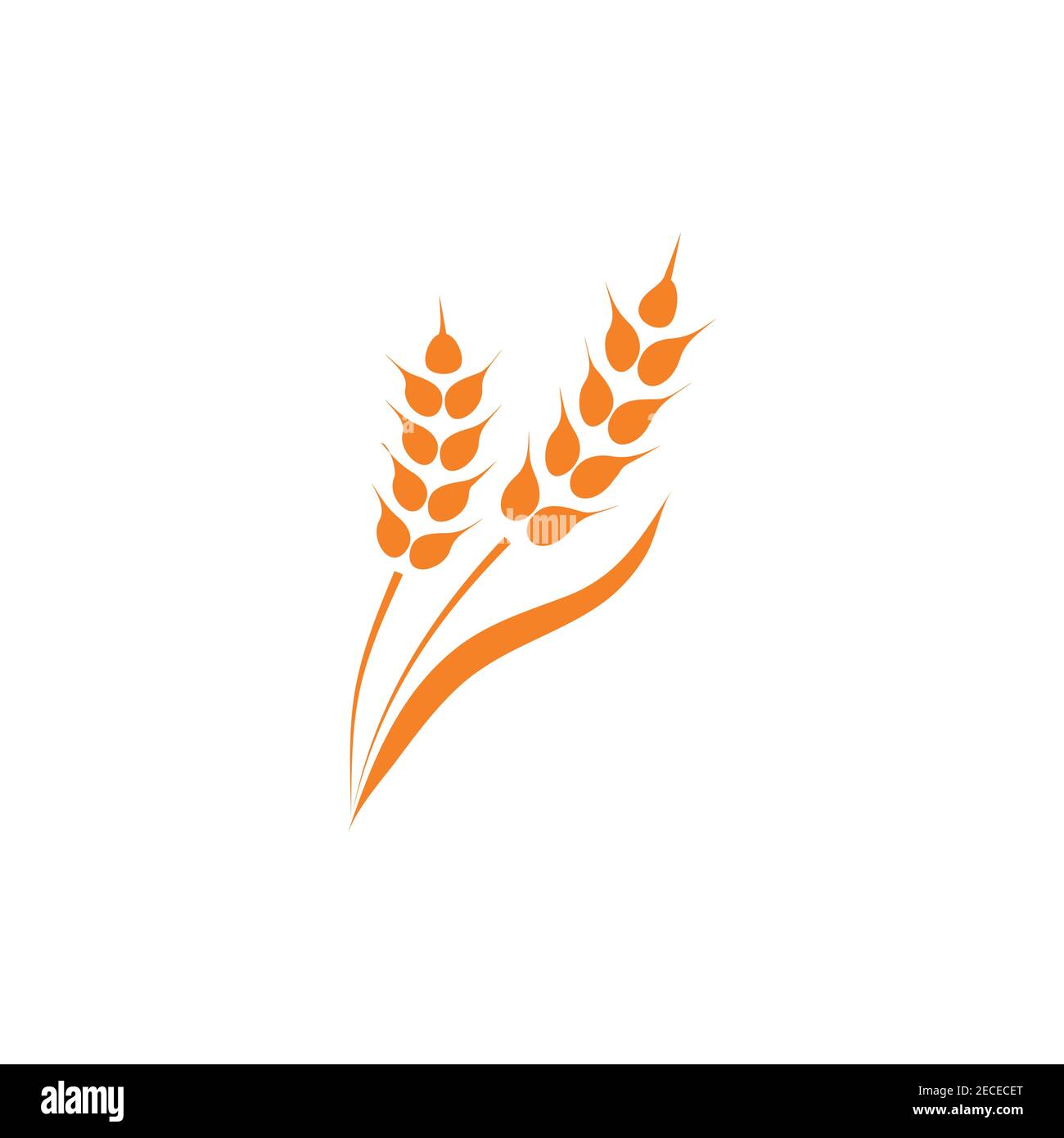 Wheat ear ears icons set. Vector illustration isolated on white ...