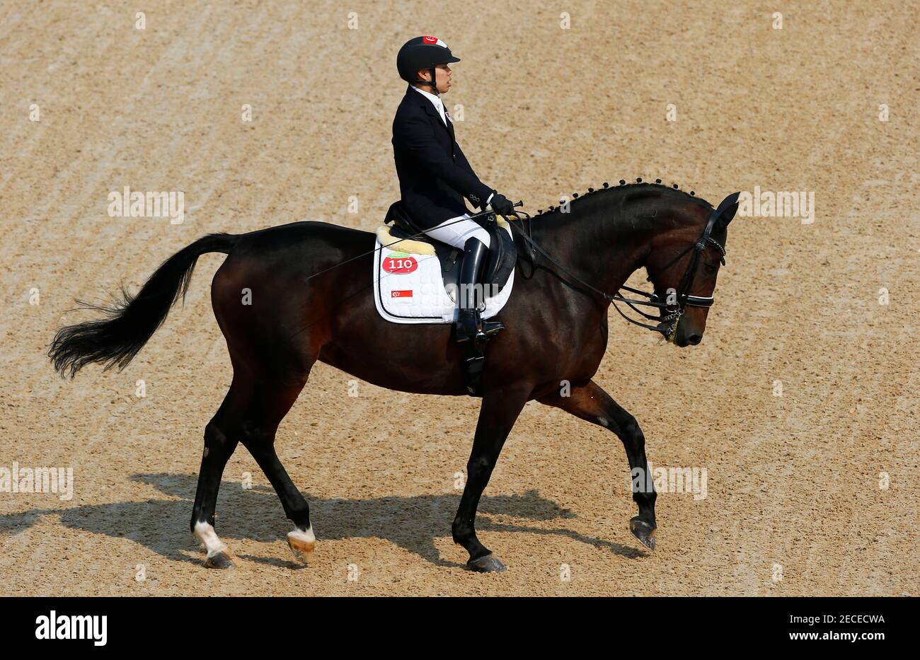 Test de dressage hi-res stock photography and images - Alamy