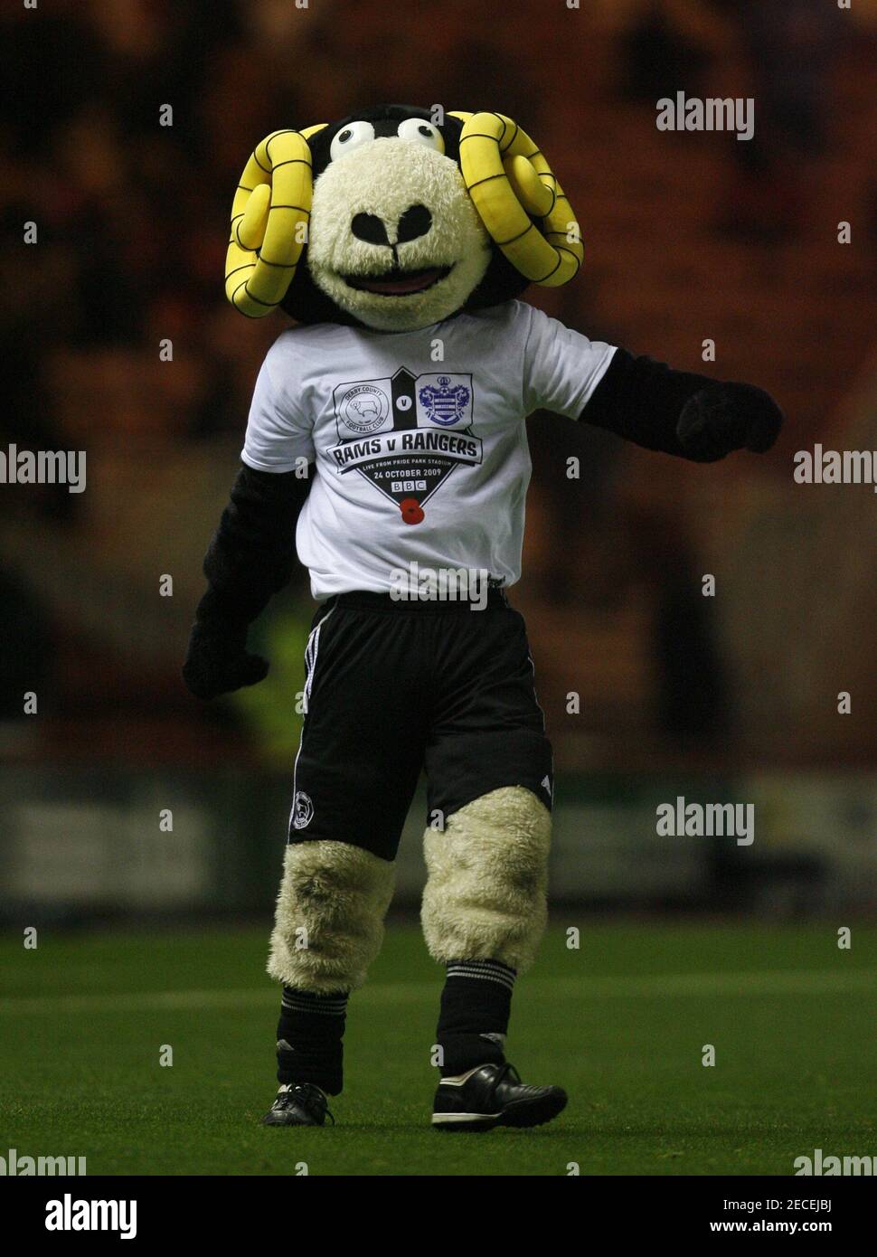 Middlesbrough mascot hi-res stock photography and images - Alamy