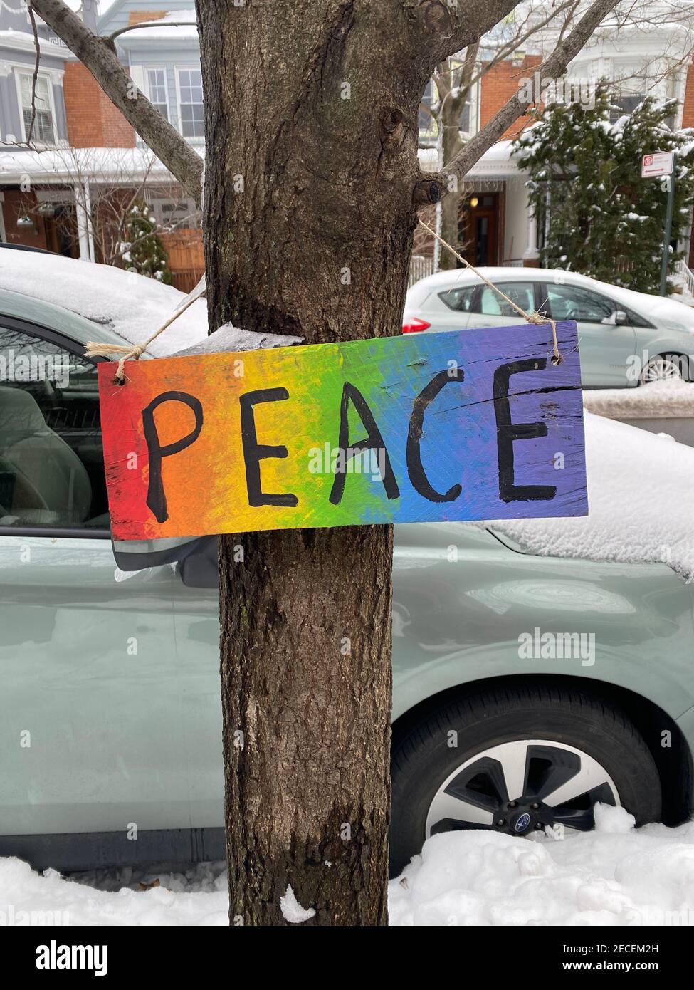 Hung from a tree hi-res stock photography and images - Alamy