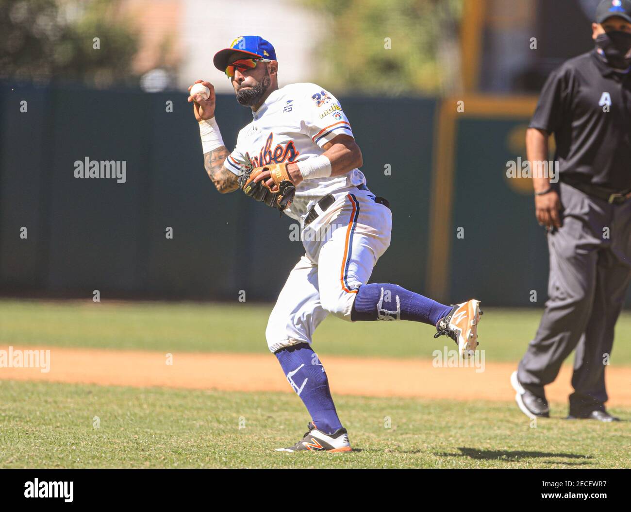 MAZATLAN, MEXICO - JANUARY 31:Ali Castillo of Caribes de Anzoategui ...