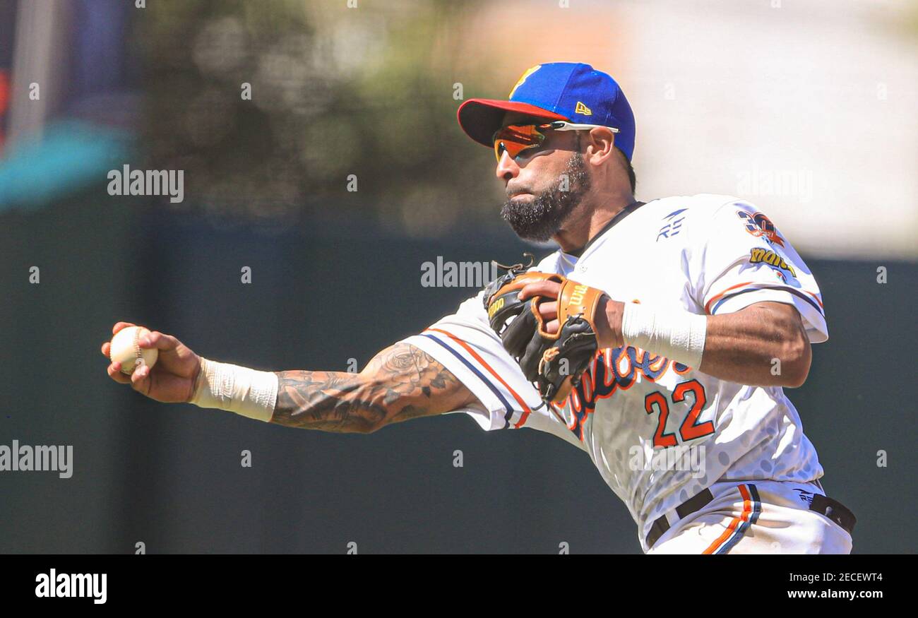 MAZATLAN, MEXICO - JANUARY 31:Ali Castillo of Caribes de Anzoategui ...