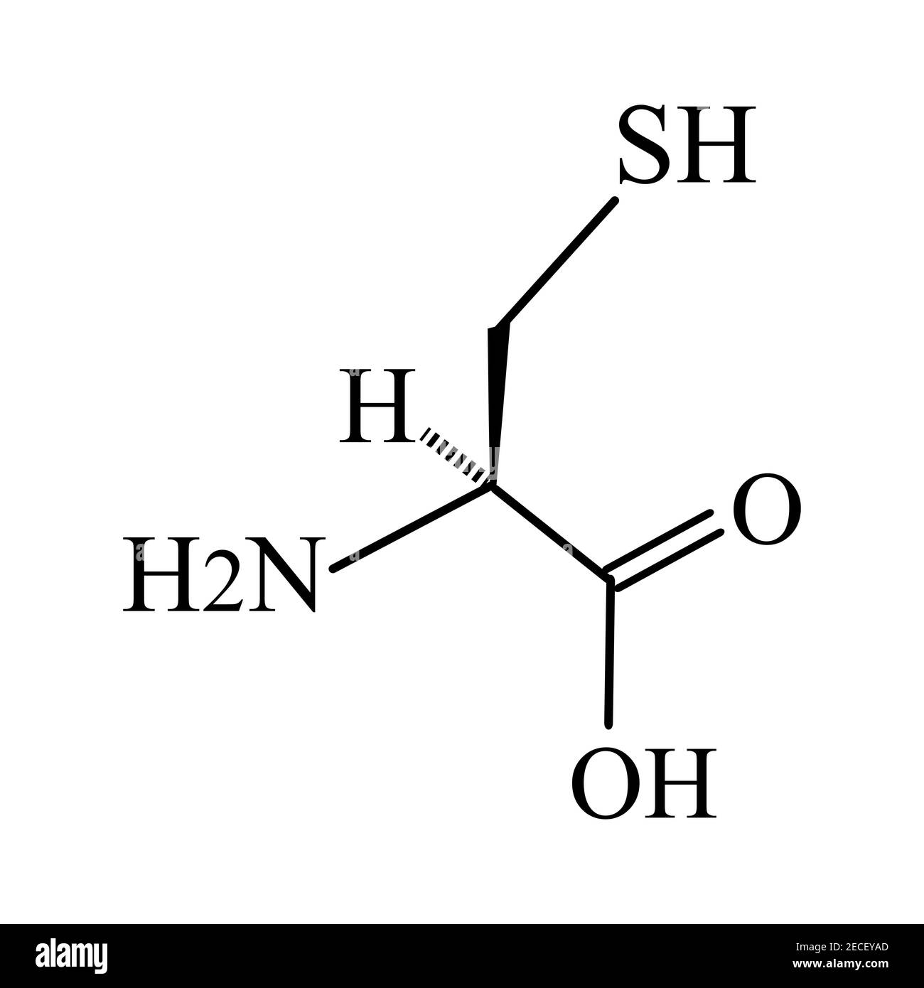 The amino acid Cysteine. Chemical molecular formula Cysteine amino acid ...