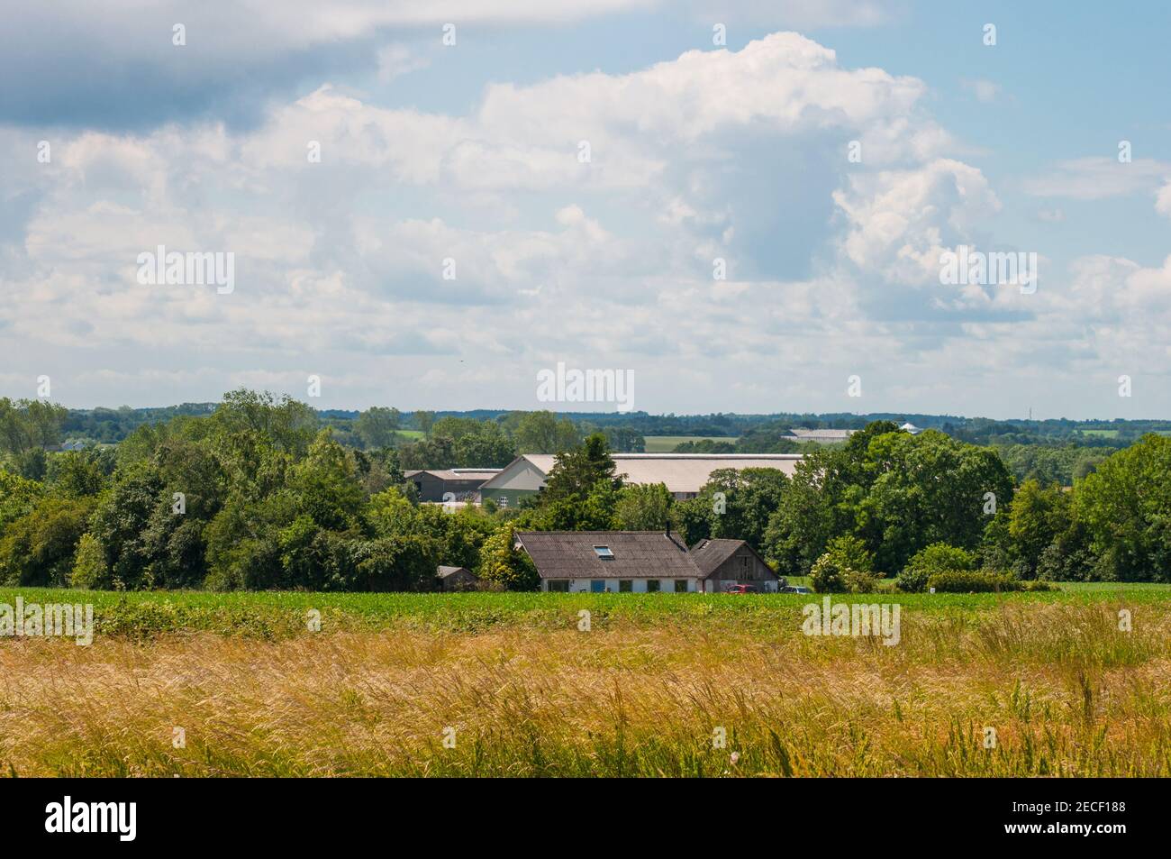 Danish farm hi-res stock photography and images - Alamy