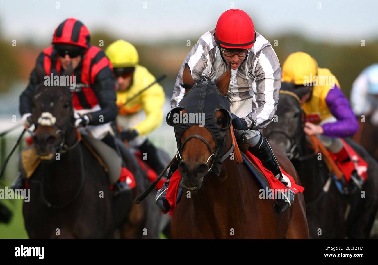 The racing post trophy at doncaster hi-res stock photography and images ...