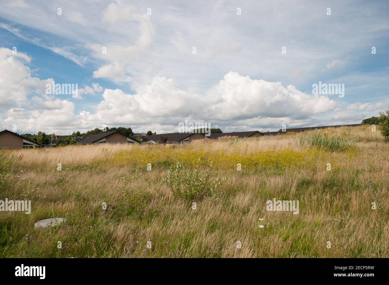 suburbs of Naestved in Denmark Stock Photo - Alamy