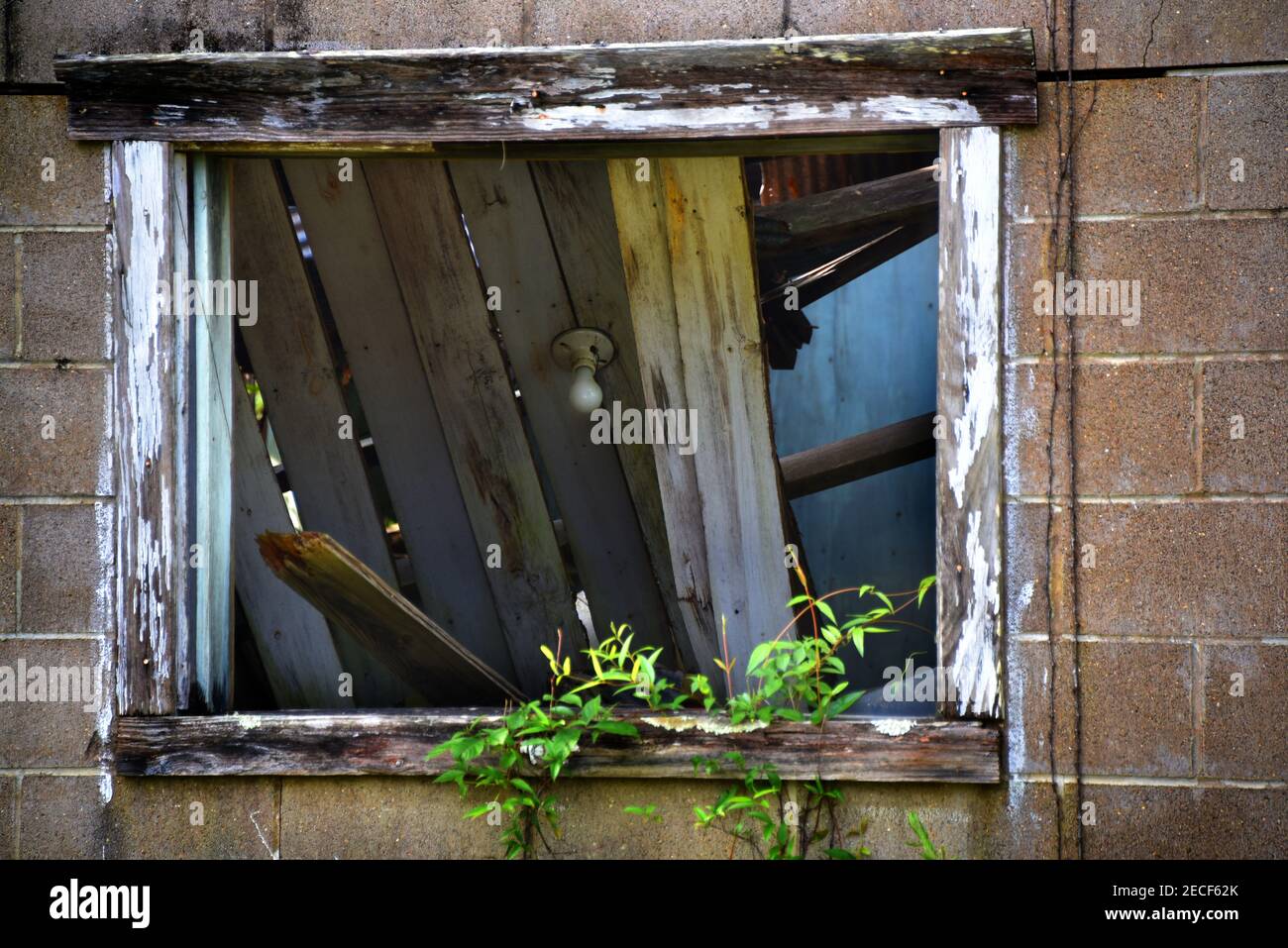 Window view inside an abandoned old building, reveals a collapsed roof ...