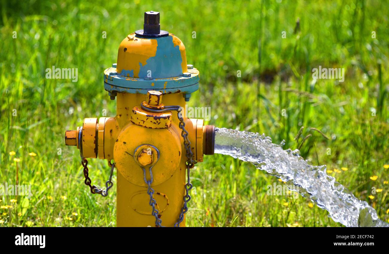 Fire hydrant gushes water as it releases pressure and flushes out the ...